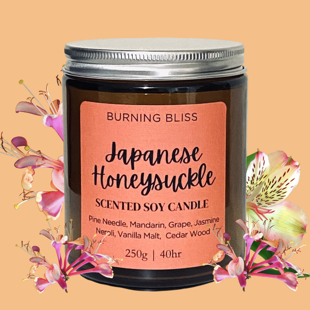 Japanese Honeysuckle Scented Soy Candle – Burning Bliss